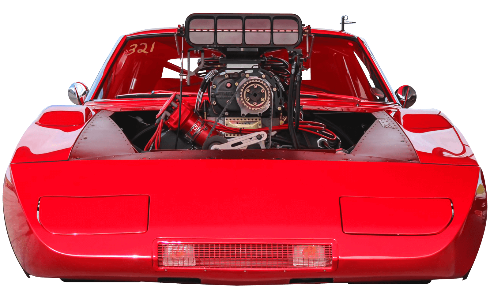 Reelistic Replicas | Lifelike Fish Replicas